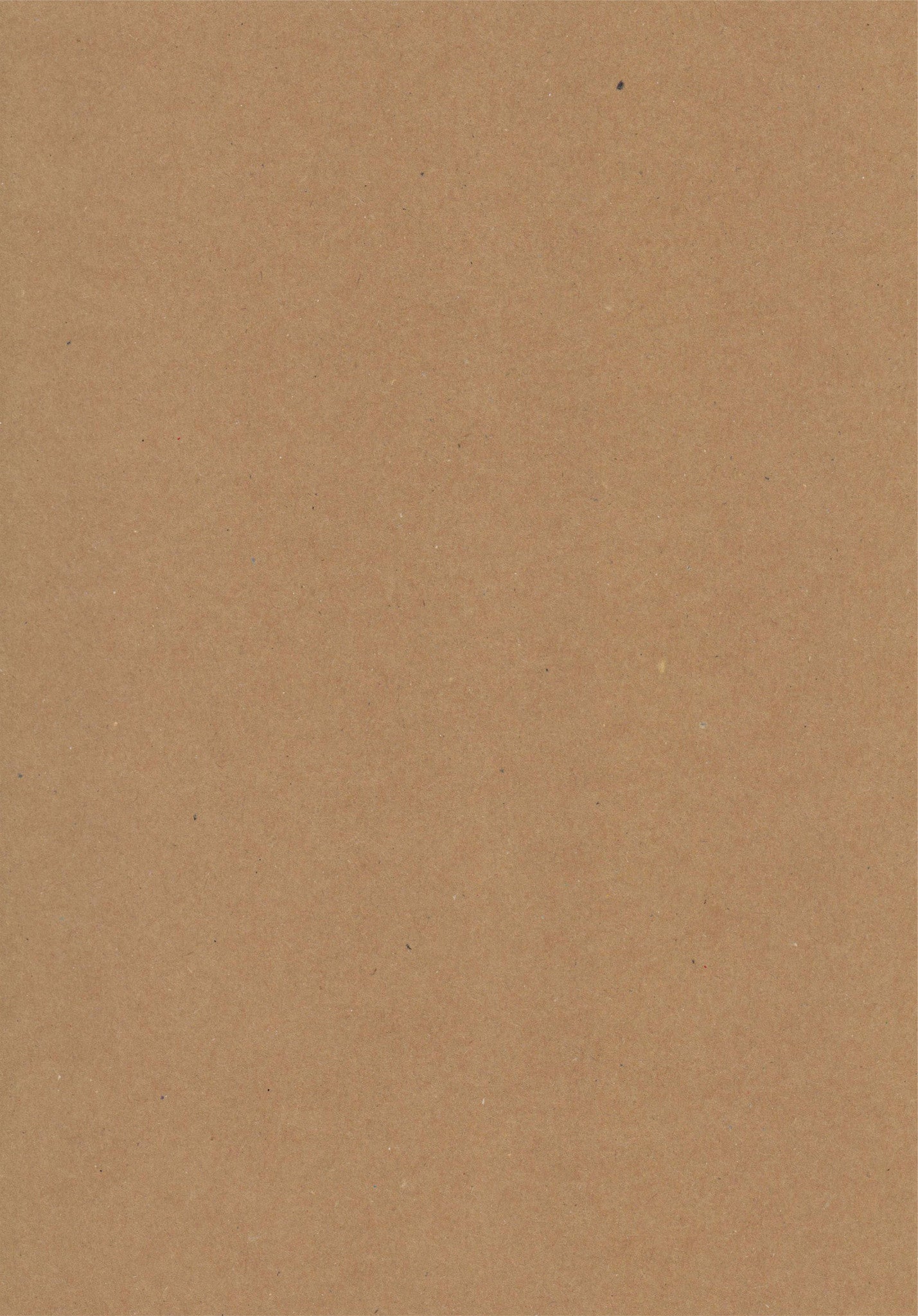 Vintage Kraft A4 Card - The Paper Place