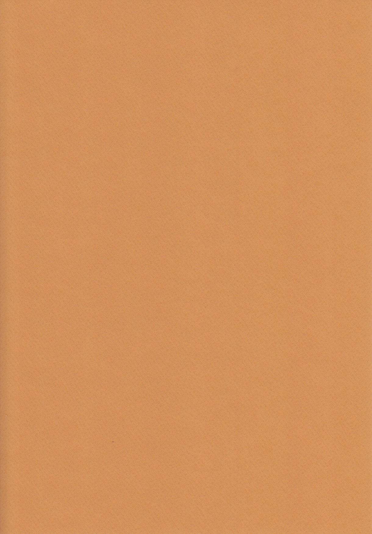Cappuccino Brown A4 Card - The Paper Place