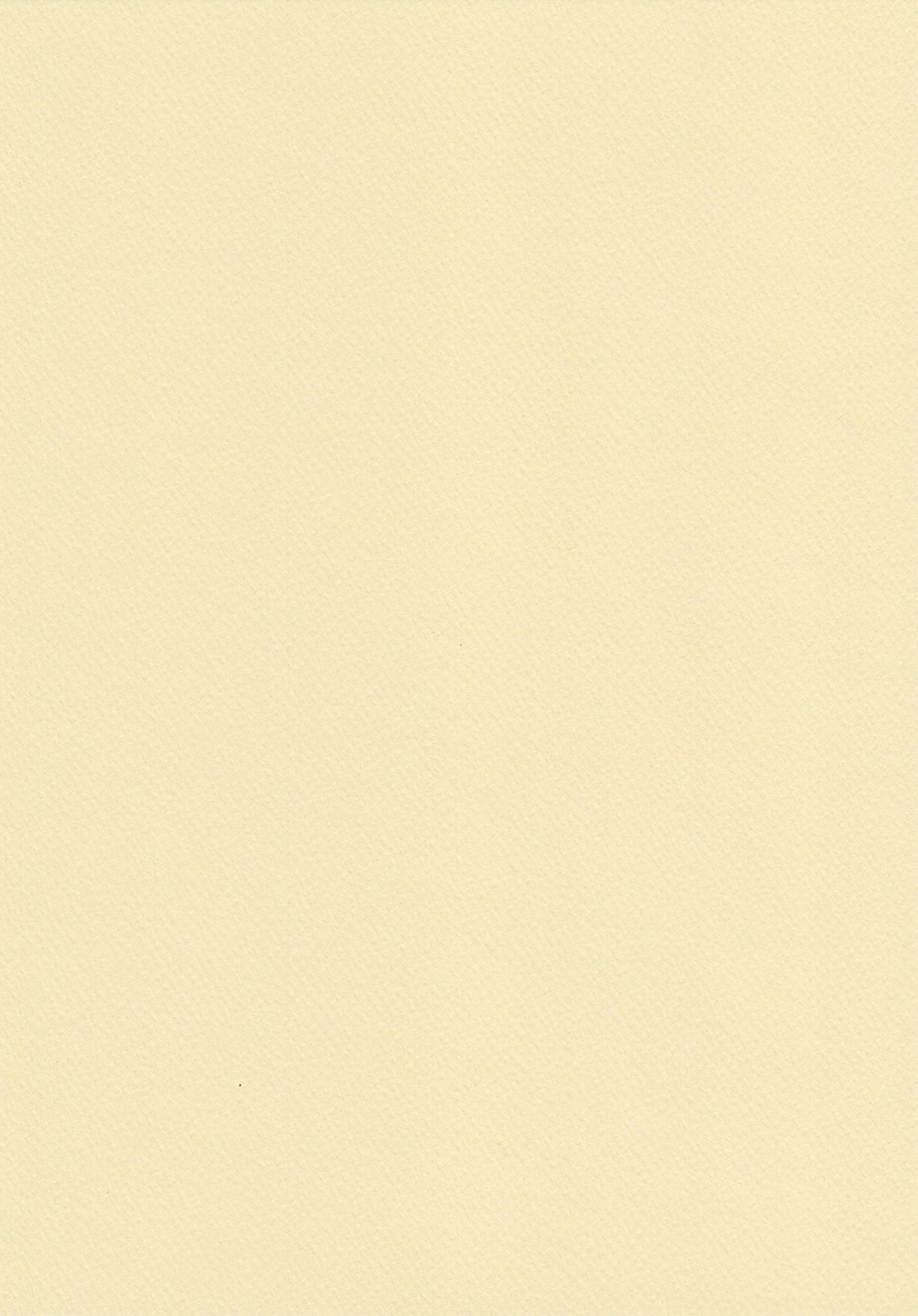 Chamois Cream A4 Card - The Paper Place
