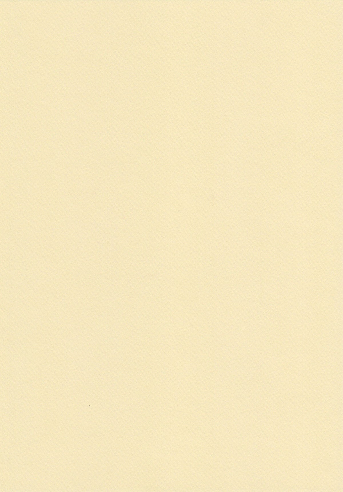 Chamois Cream A4 Card - The Paper Place