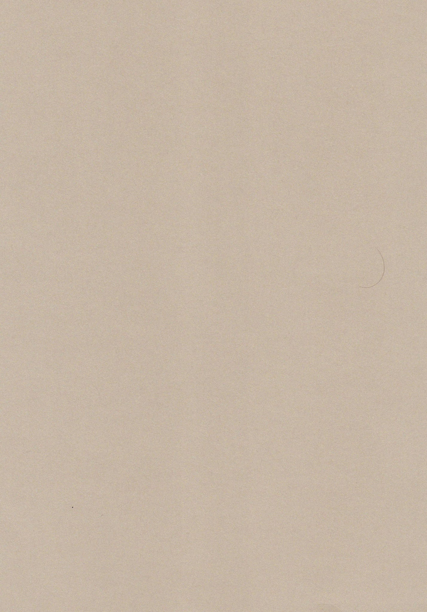 Champers A4 Paper - The Paper Place