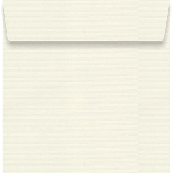 Square Envelopes 160mm - The Paper Place