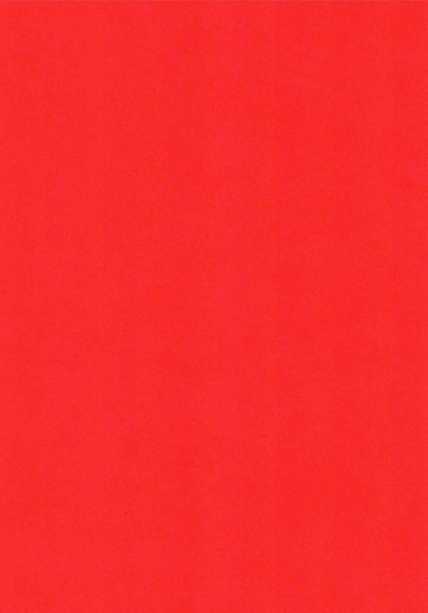 Fantail Orange A4 Paper - The Paper Place