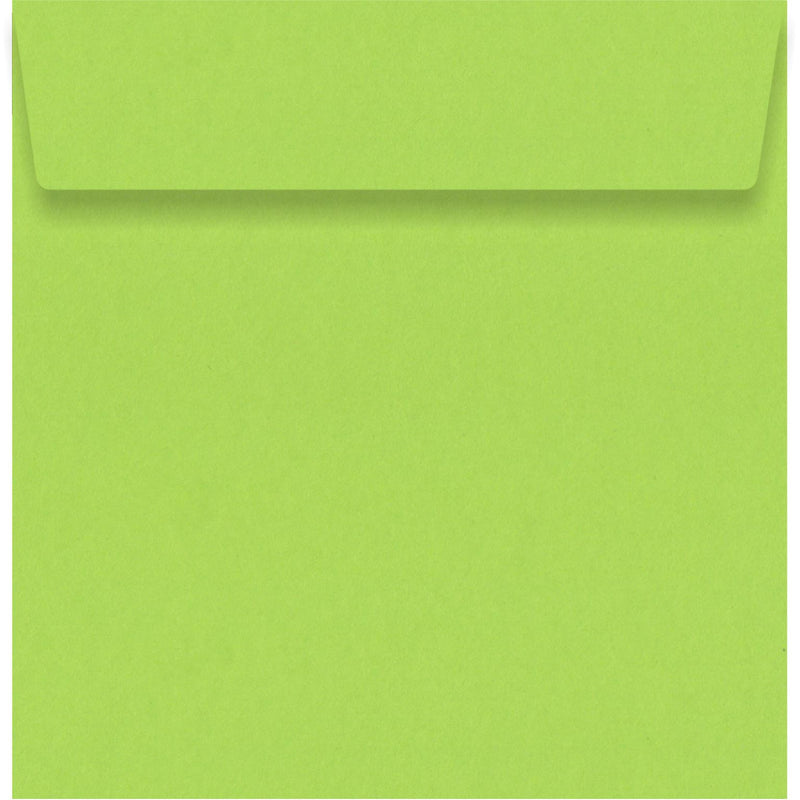Square Envelopes 160mm - The Paper Place