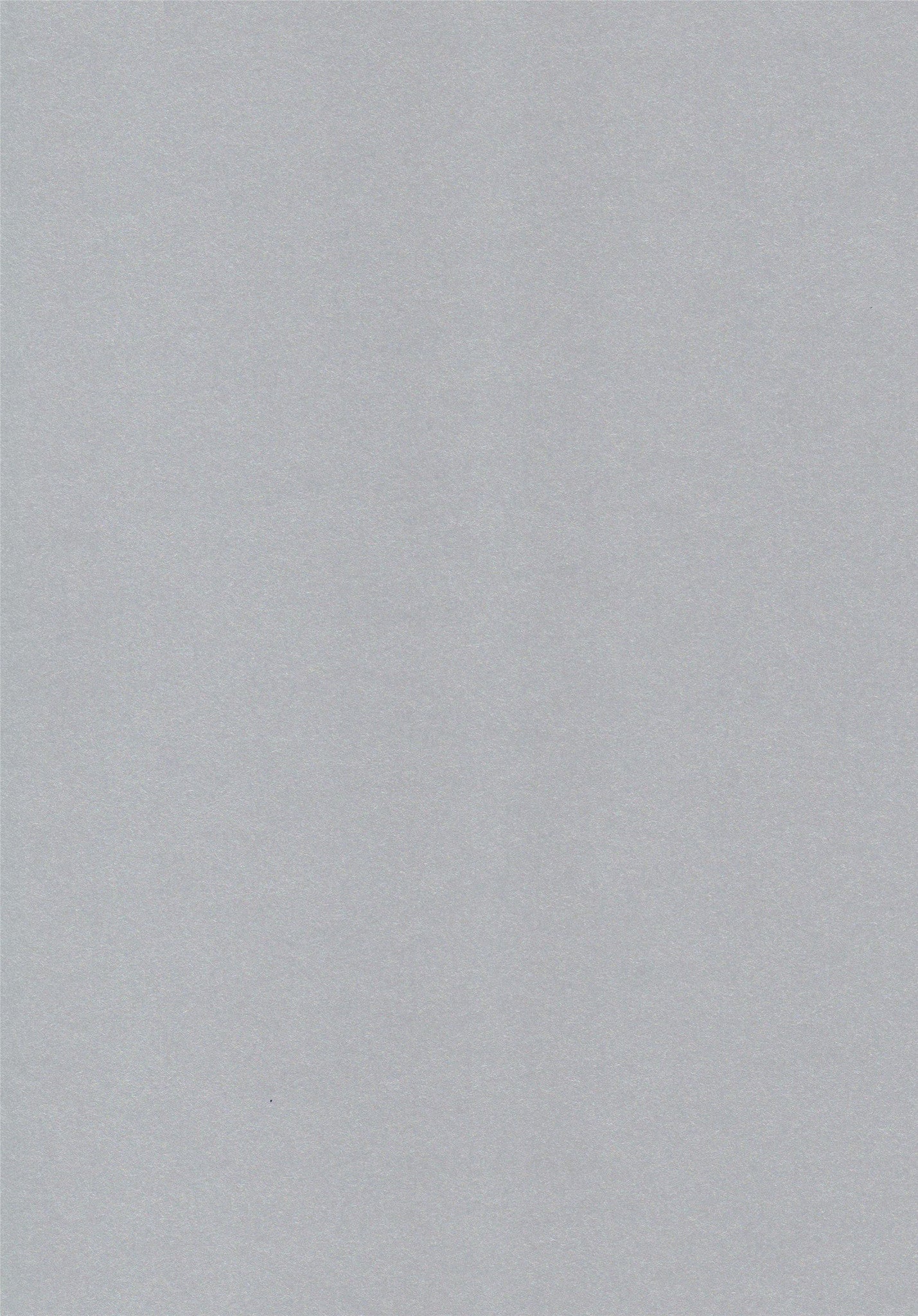 Silver A4 Paper - The Paper Place